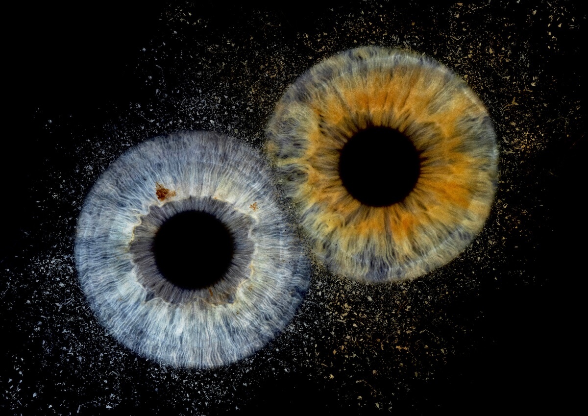 Eyes Up Close Photography